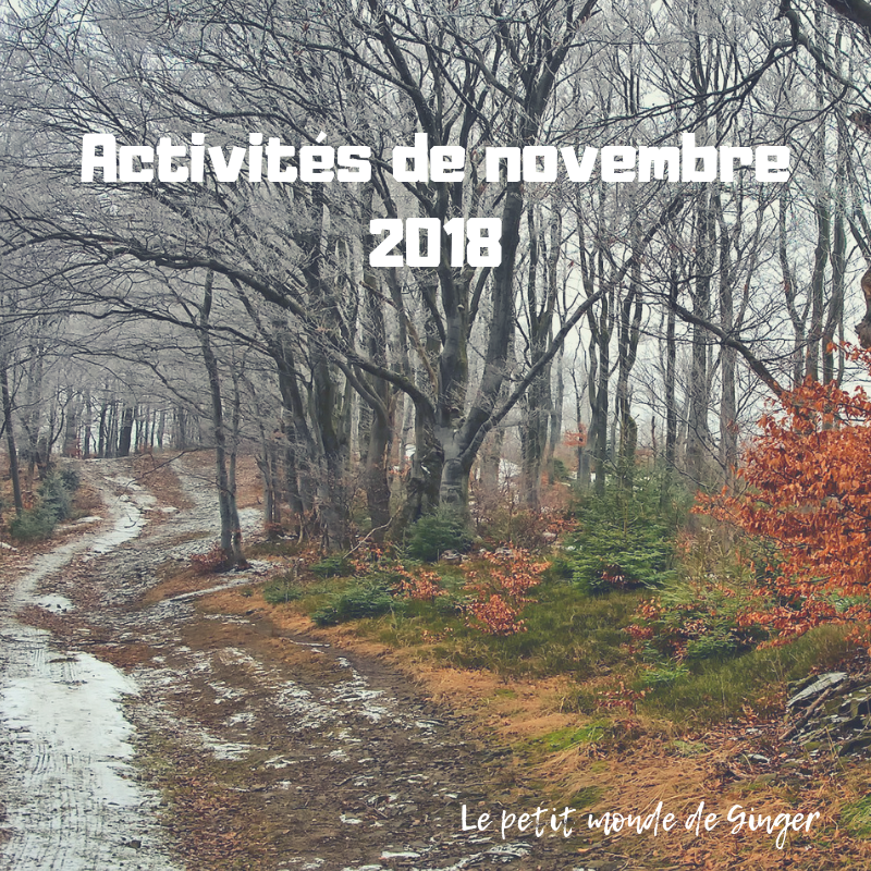 Quoi faire en novembre 2018 ? - Le petit monde de Ginger